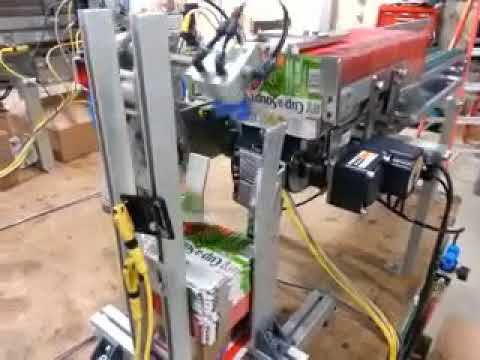 Carton Picker/Feeder System | Vertical Packaging Machine